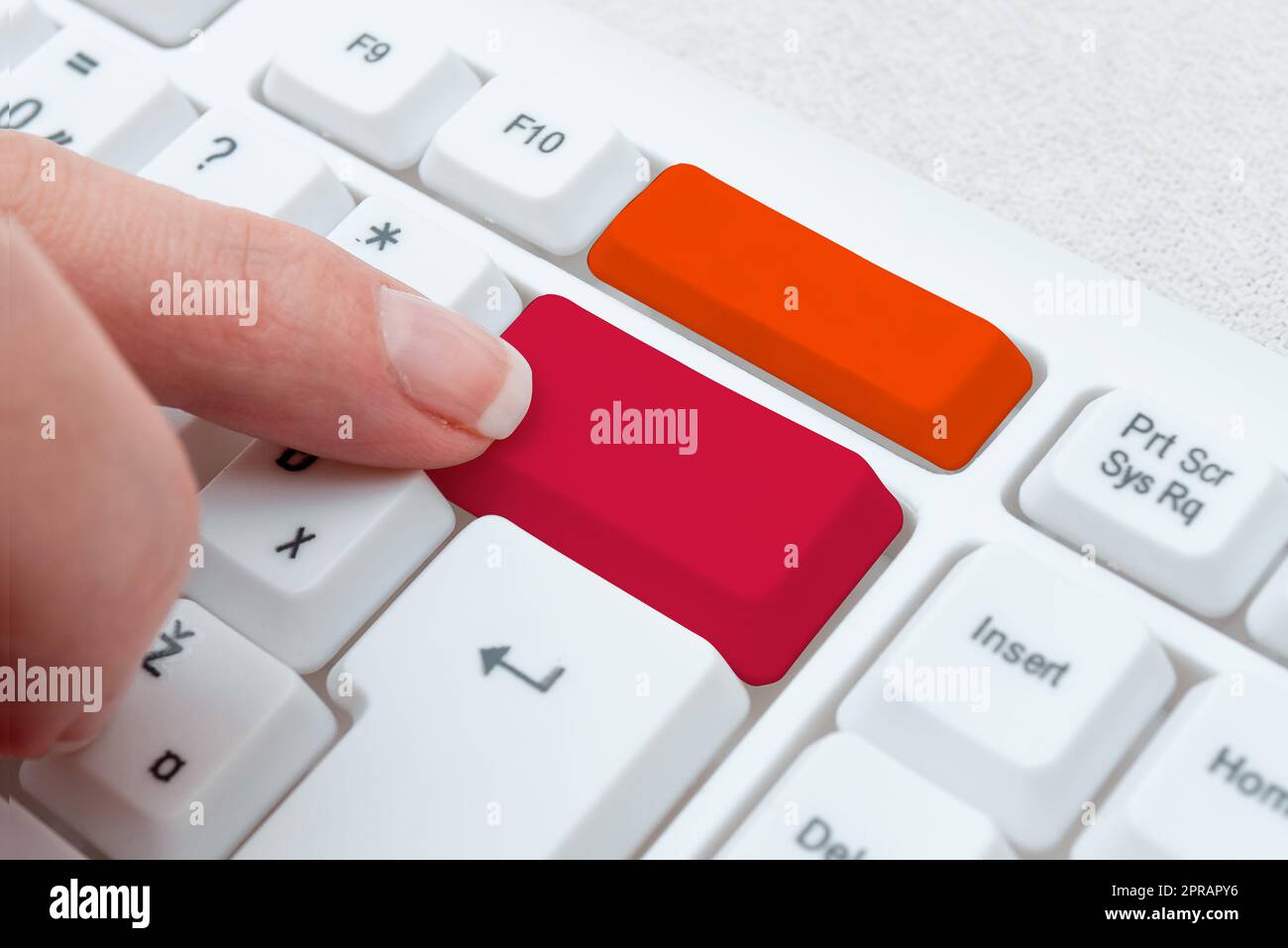 Typing Hospital Records Reports, Creating New Ebook Reading Program ...