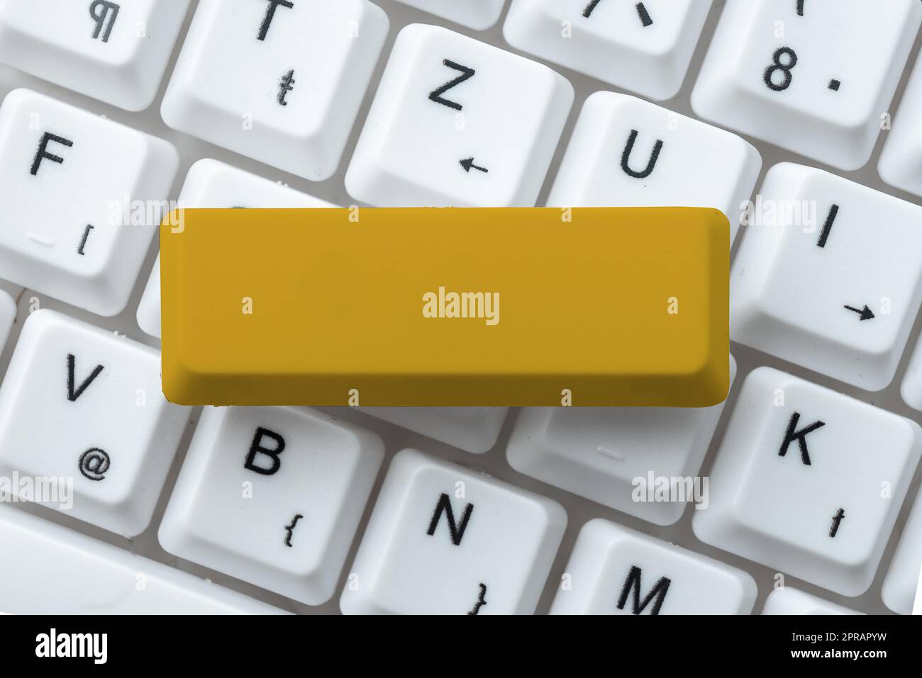 Typing Hospital Records Reports, Creating New Ebook Reading Program ...