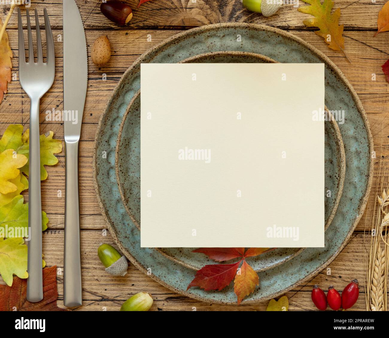 Autumn rustic table setting with red, yellow and orange leaves, berries ...