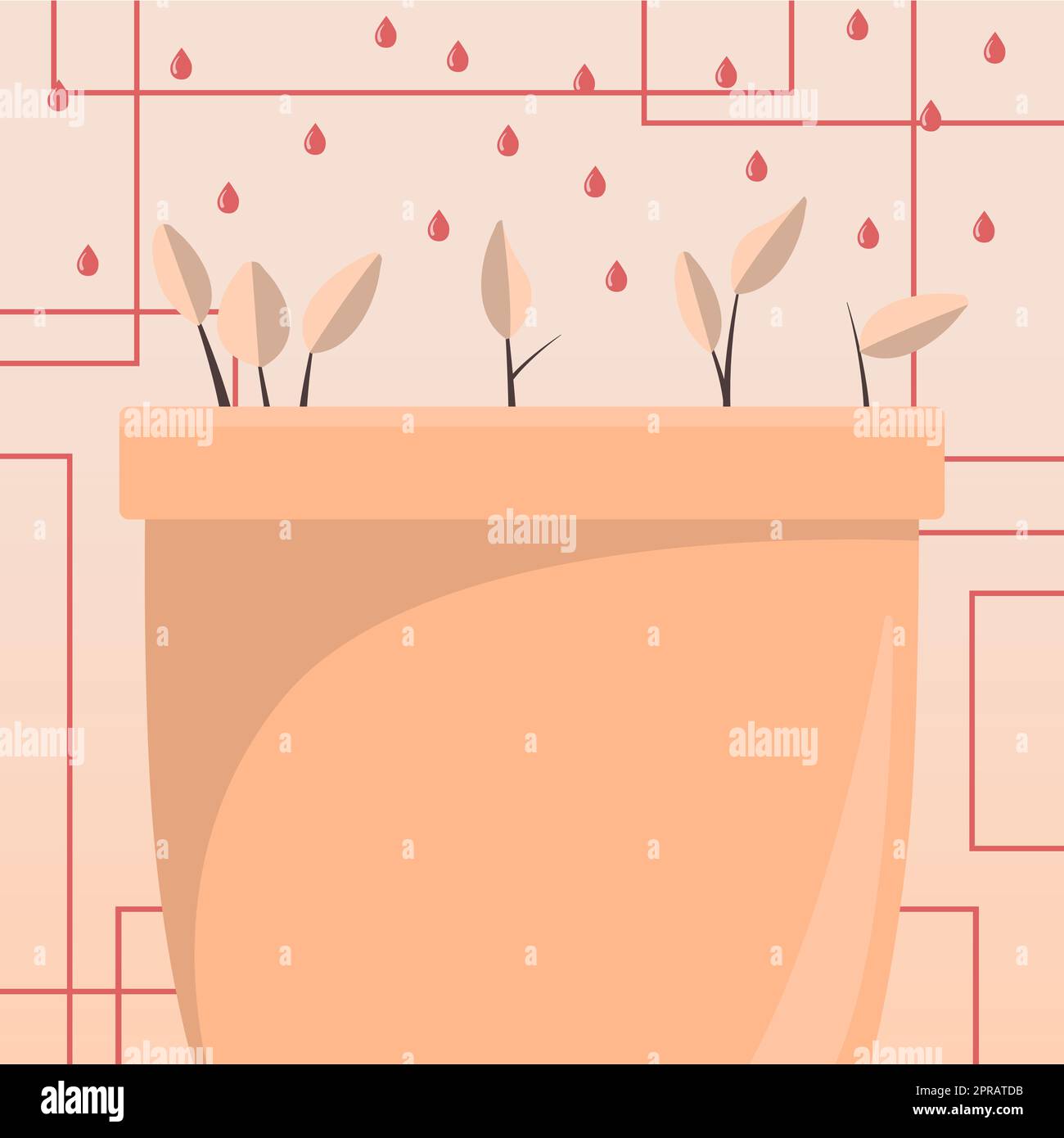 Flower Vase With Herbs Watered By Drops From Top. Liquid Being Poured ...