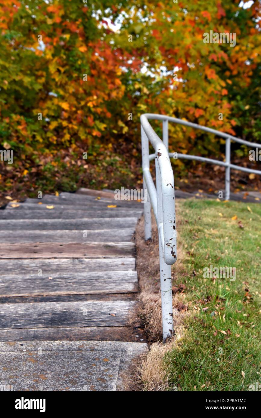 Curving wooden steps and steel railing lead downward. Fall leaves are ...