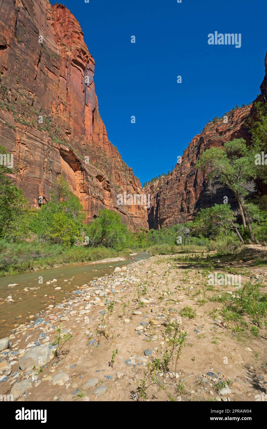 Narrows zion national park hi-res stock photography and images - Alamy
