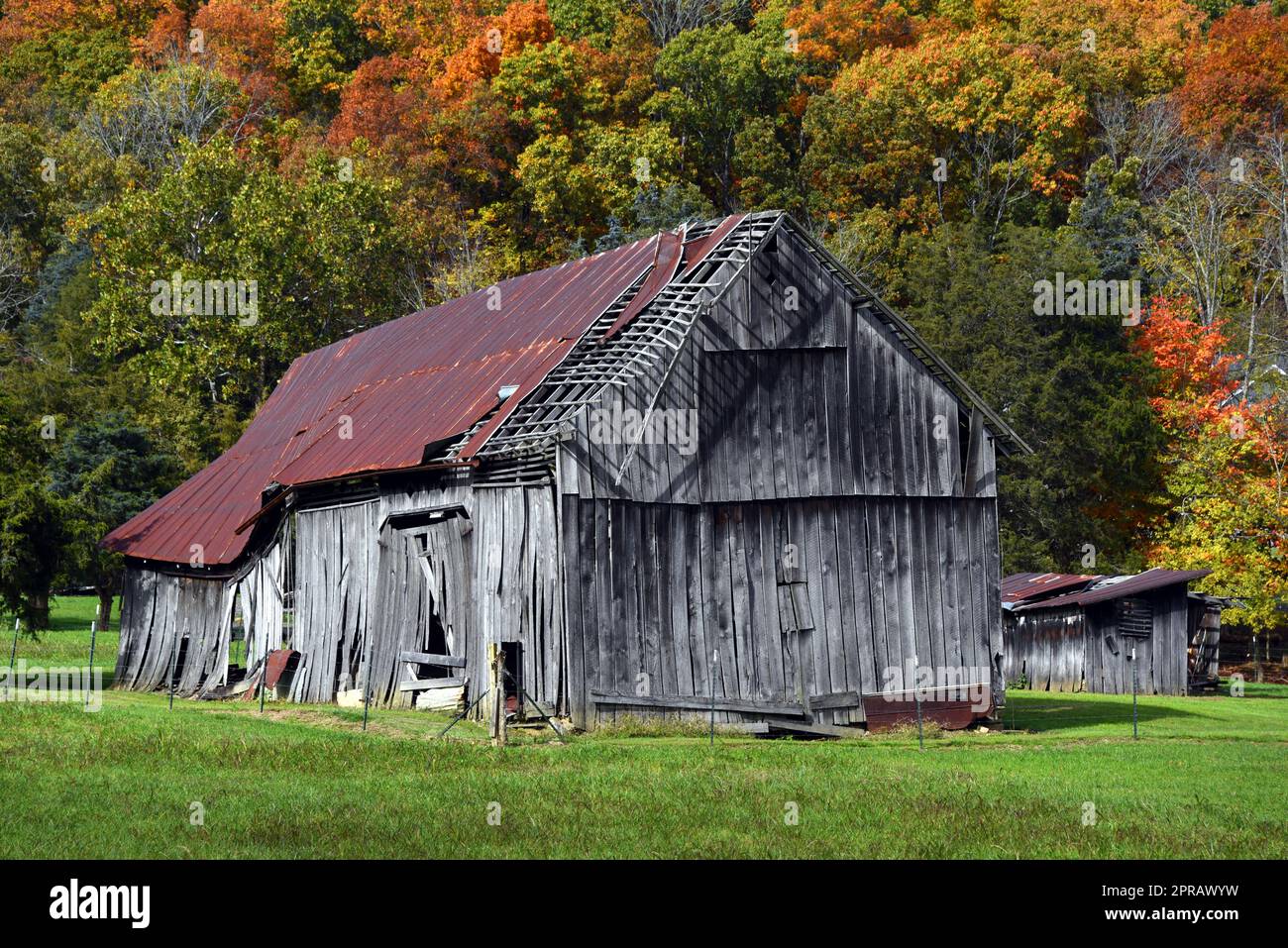 Fall foliage colors Appalachian Mountainside behind rustic, wooden barn ...