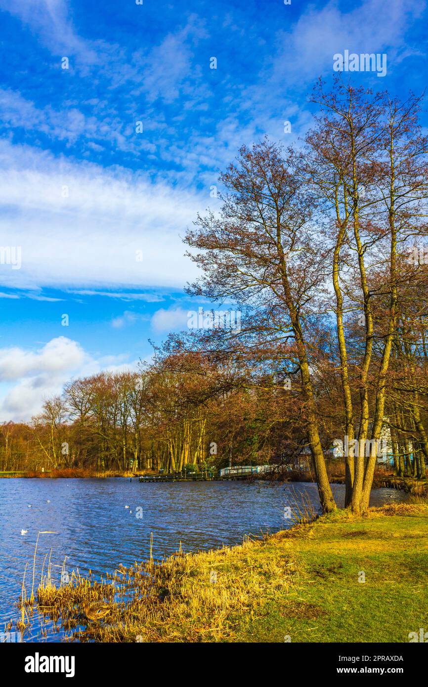 Natural panorama view lake pathway green plants trees forest Germany ...