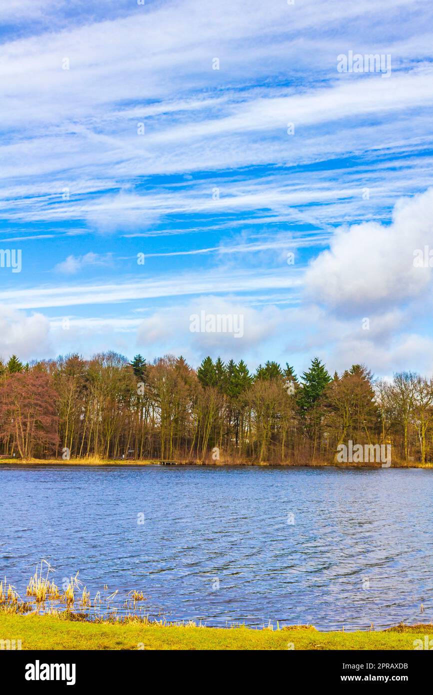 Natural panorama view lake pathway green plants trees forest Germany ...