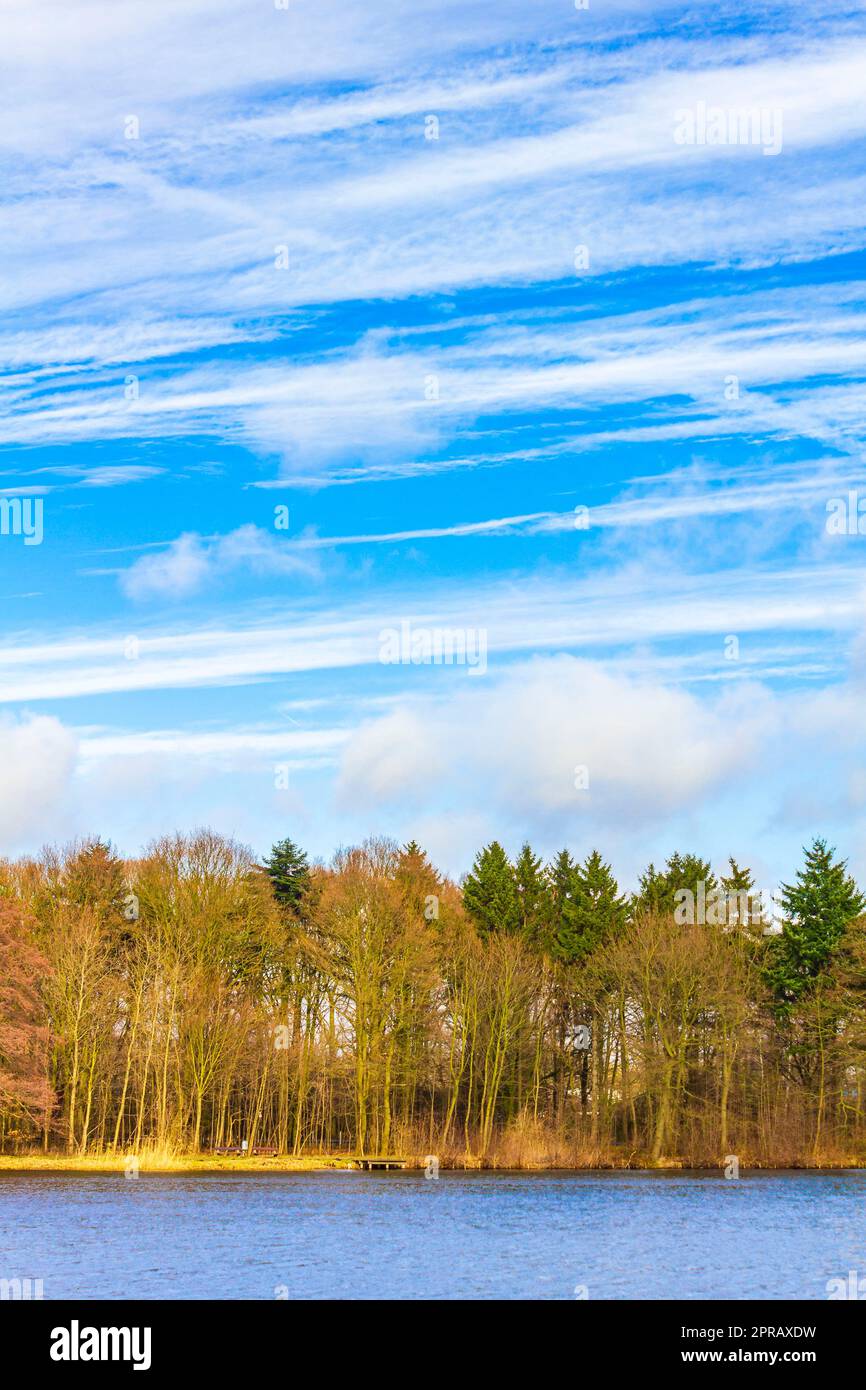 Natural panorama view lake pathway green plants trees forest Germany ...