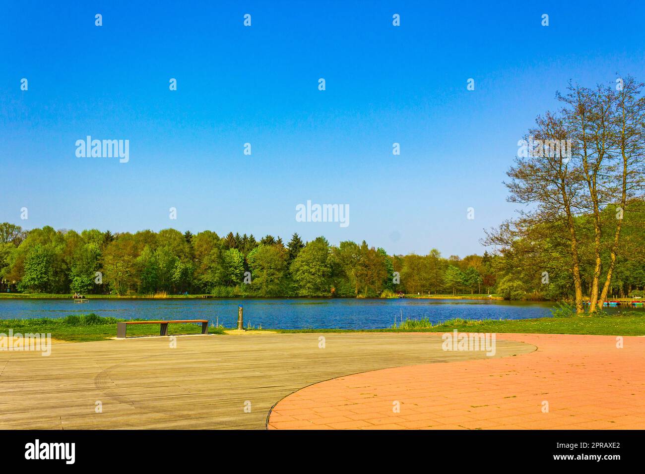 Natural panorama view lake pathway green plants trees forest Germany ...