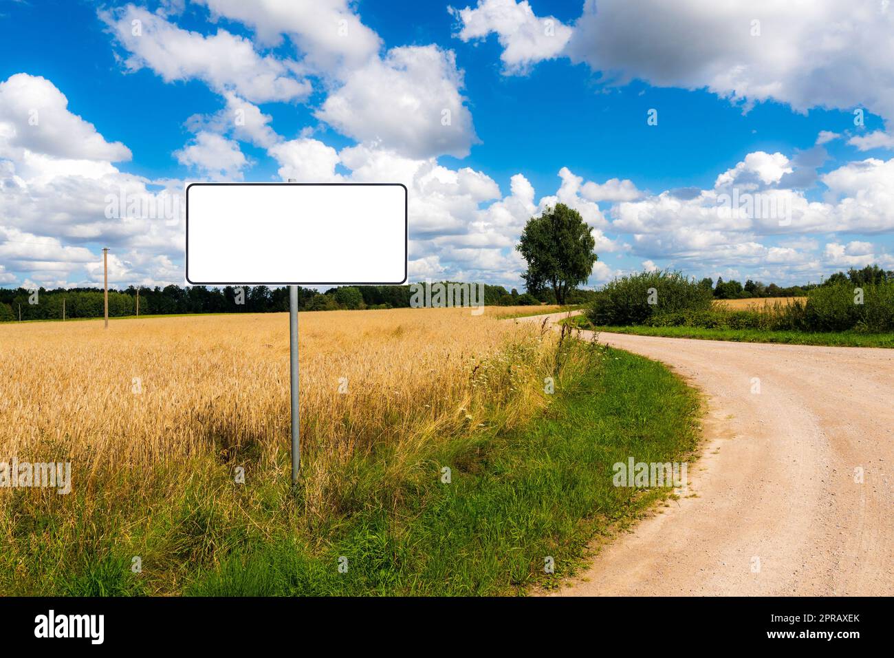 A country road with an empty road signpost Stock Photo - Alamy