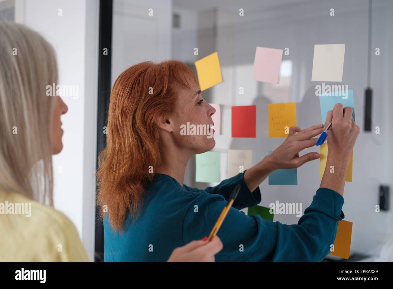 Two senior female workers brainstorming notes and writing them down on ...