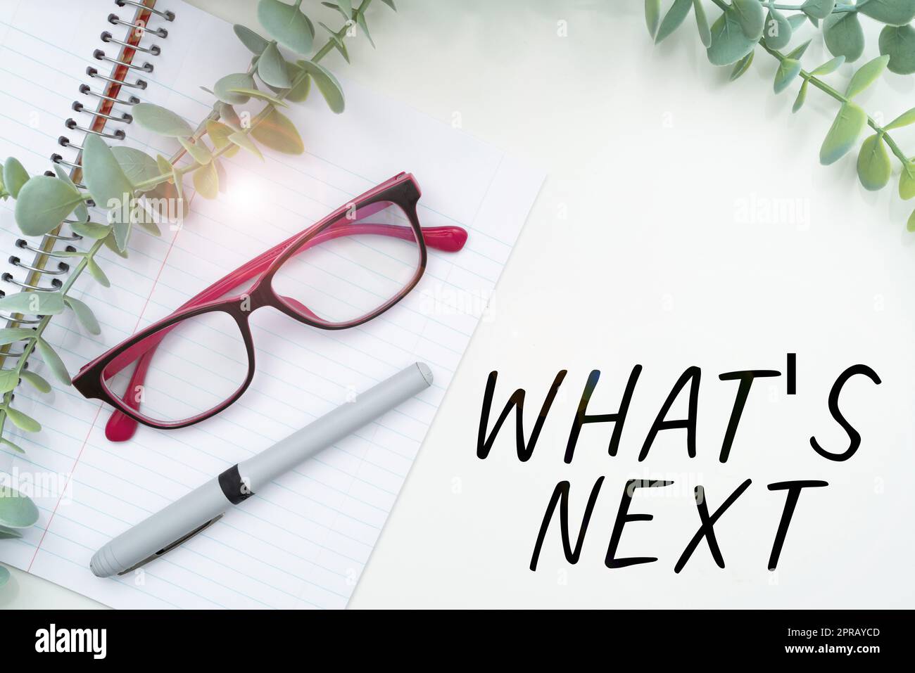 Text caption presenting What S Is Next. Business overview Asking ...