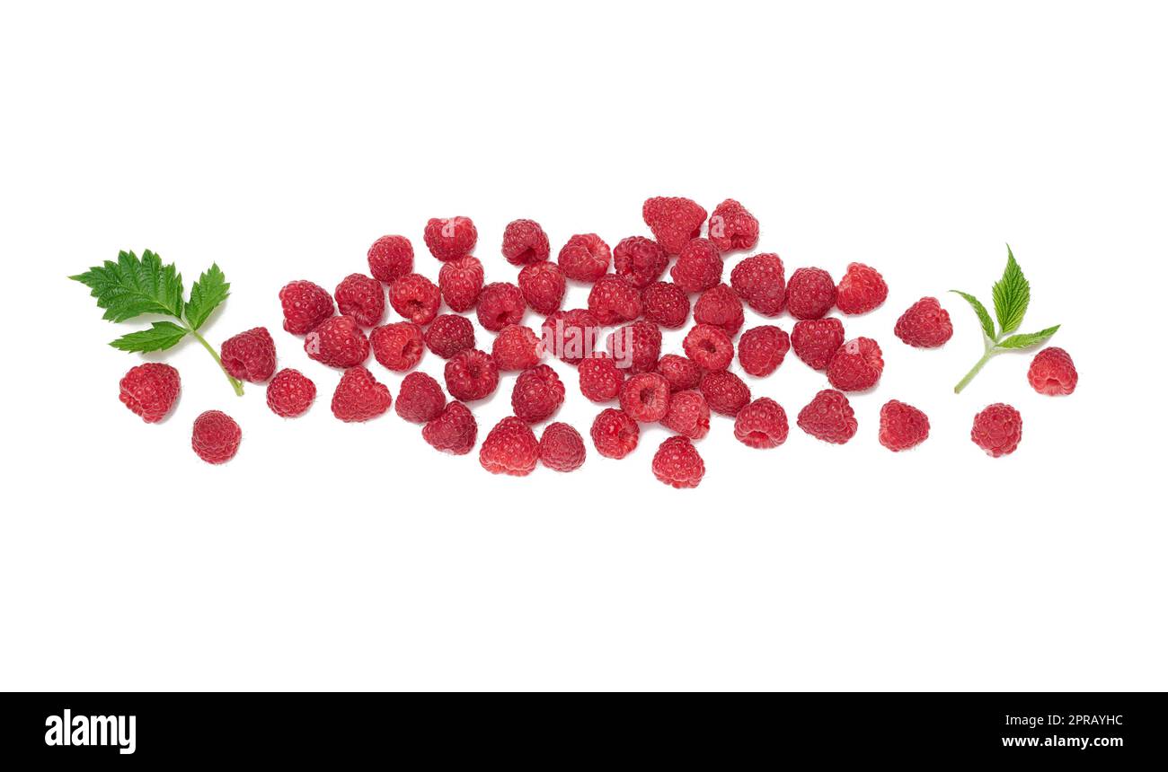 White background view hi-res stock photography and images - Alamy