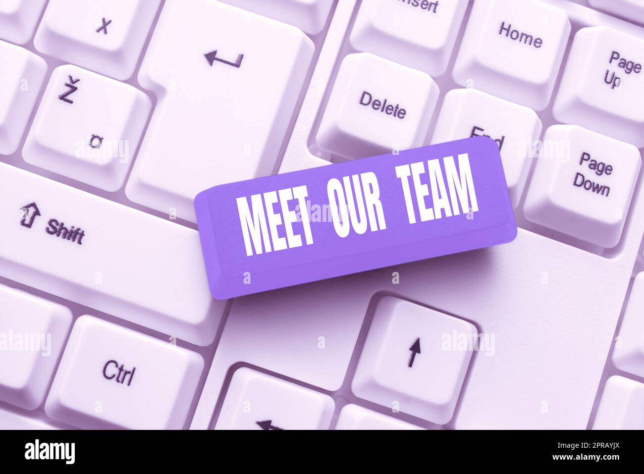 Text caption presenting Meet Our Team. Business idea Presentation of a ...