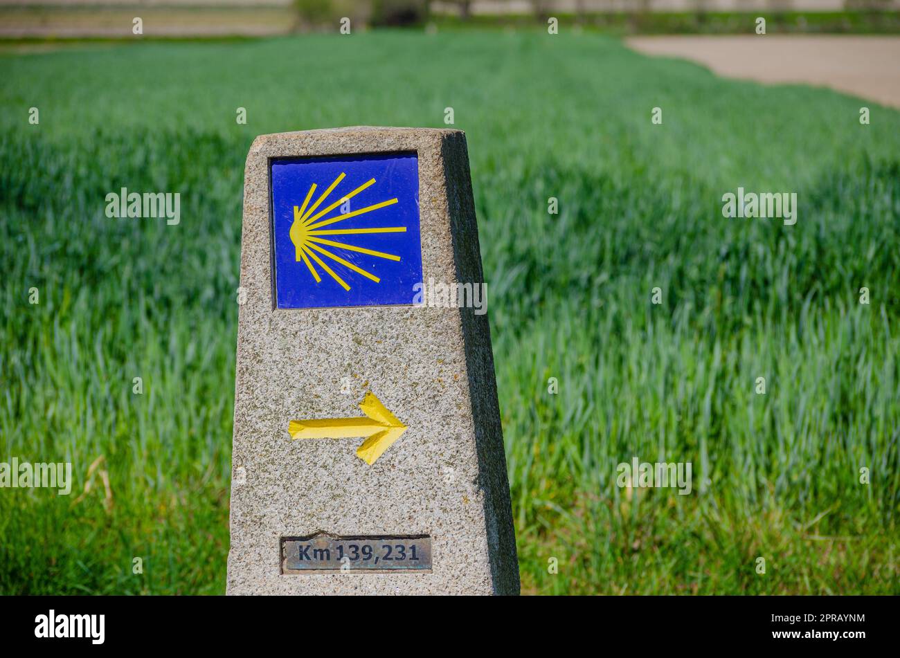 Camino de Santiago stone sign, Pilgrimage signal direction to Santiago ...