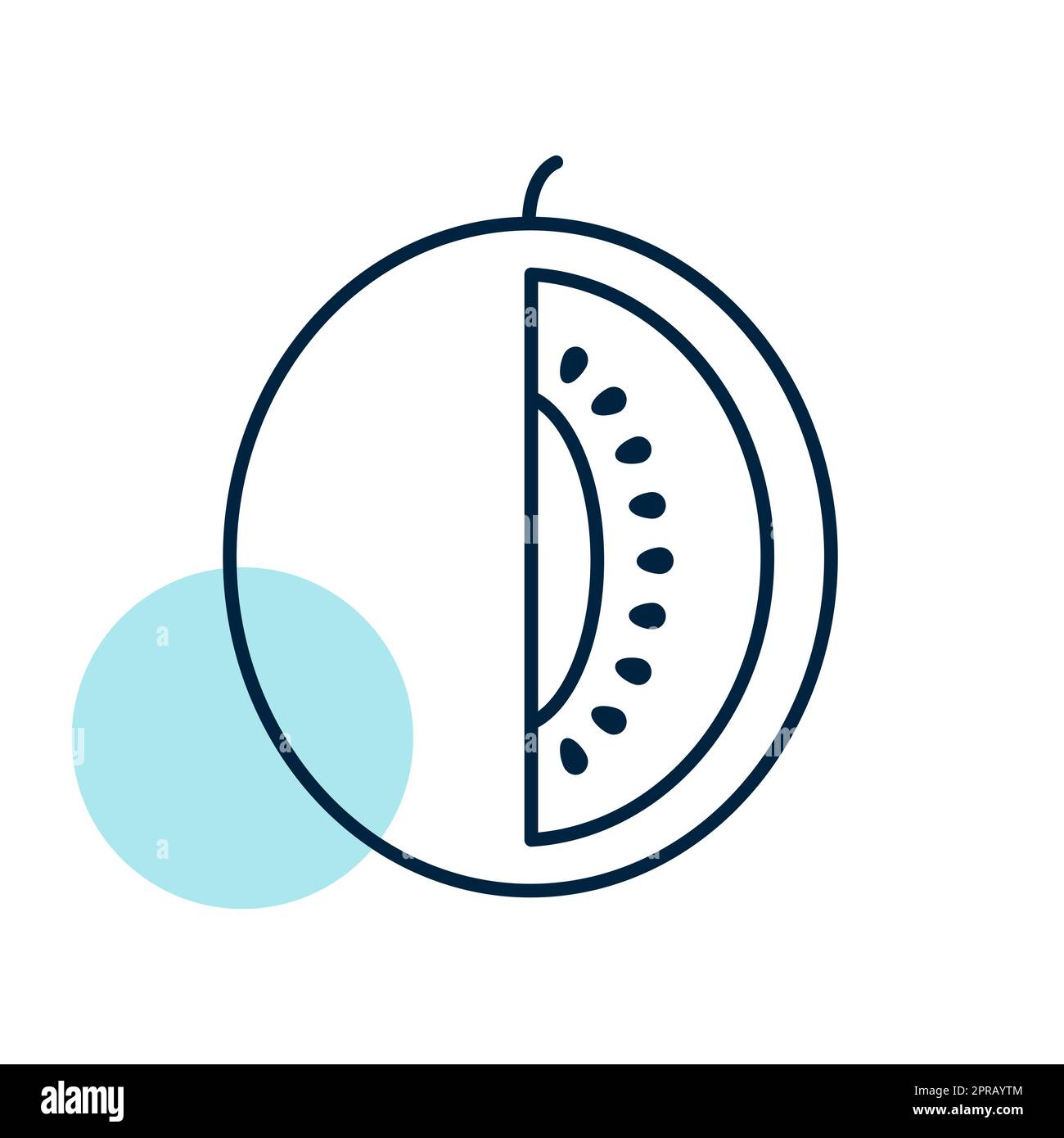 Melon vector icon. Graph symbol for food and drinks web site, apps ...