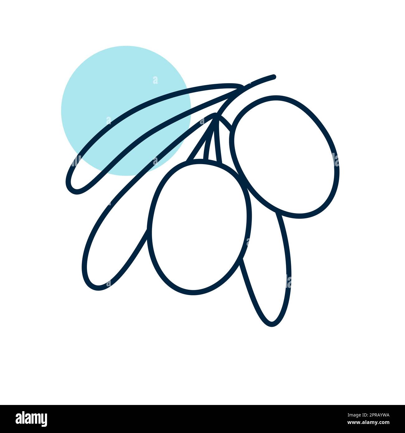 Olive branch, leaves and olives vector icon. Graph symbol for food and ...