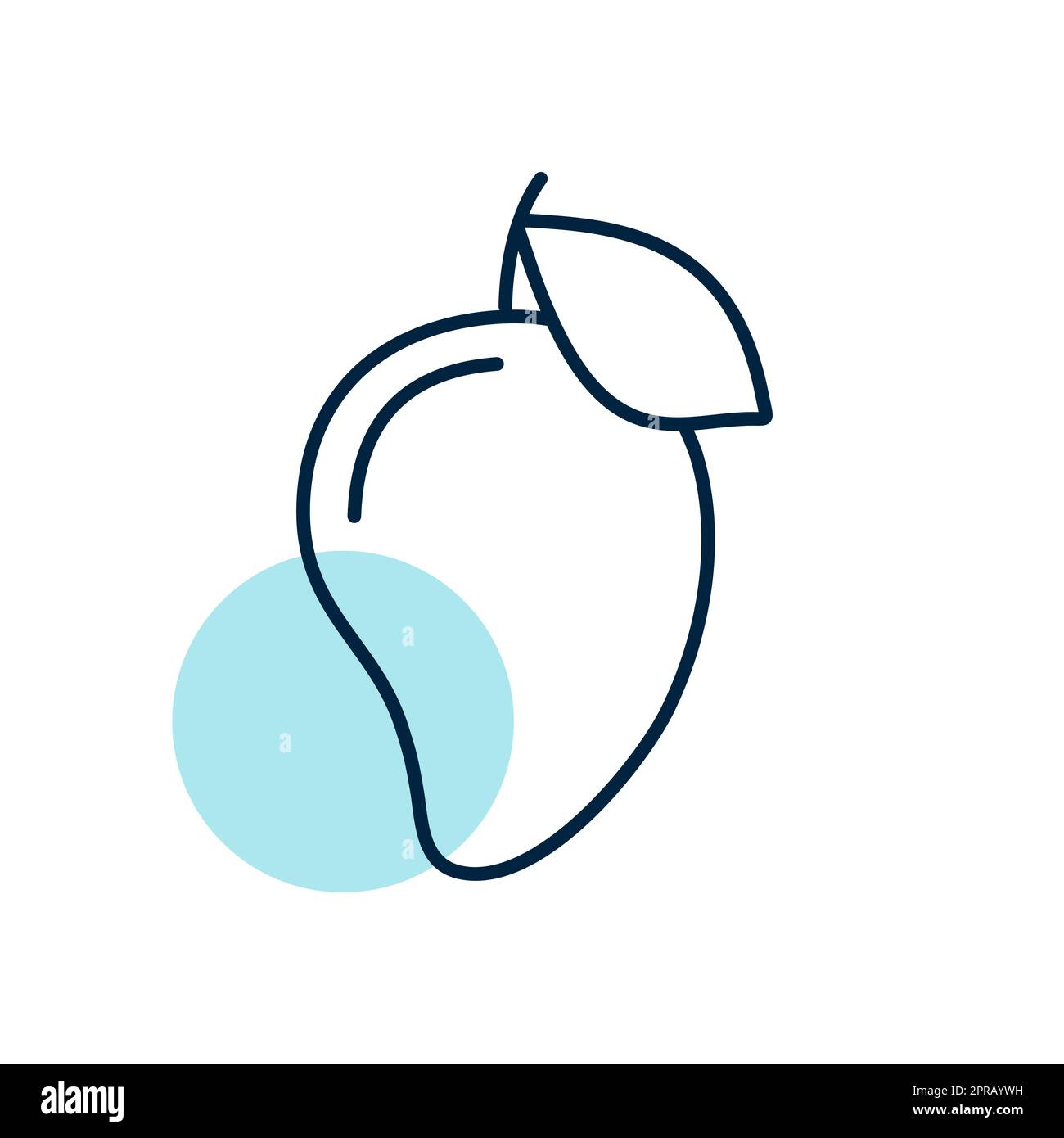 Mango tropical fruit vector icon. Graph symbol for food and drinks web ...