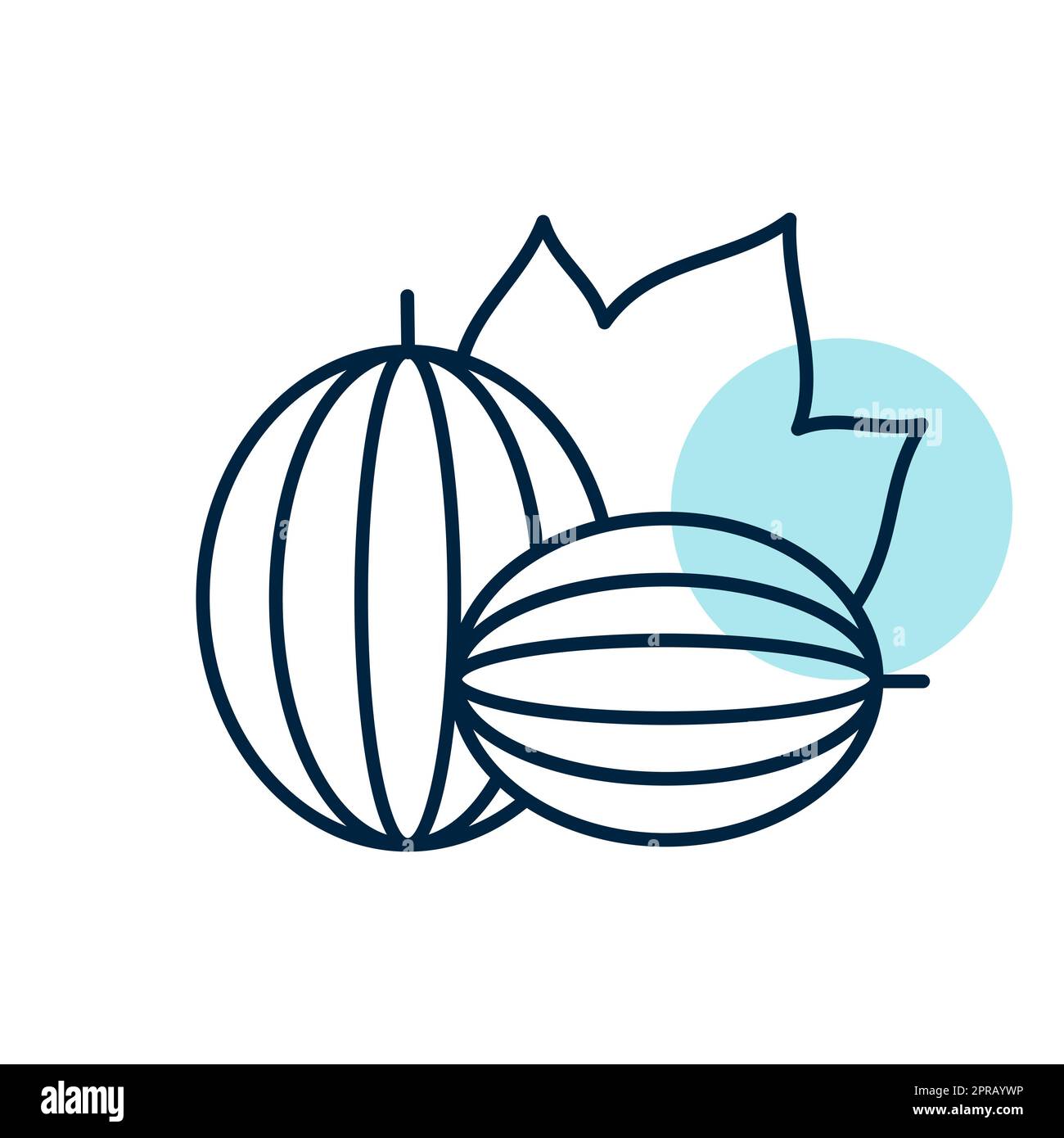 Gooseberries vector icon. Graph symbol for food and drinks web site ...