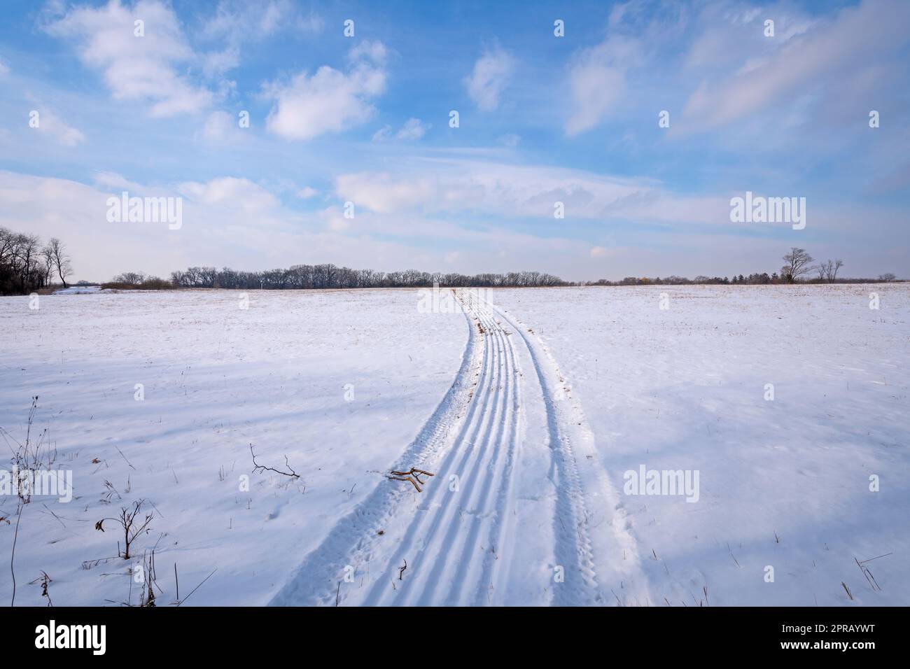 Tracks Into a Snowy Field Stock Photo - Alamy
