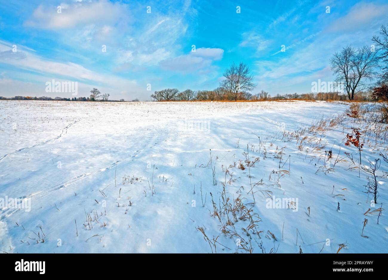 Snowy field hi-res stock photography and images - Alamy