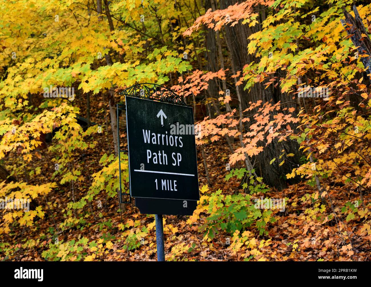 Warriors Path State Park sign is surrounded by yellow leaves. Black ...