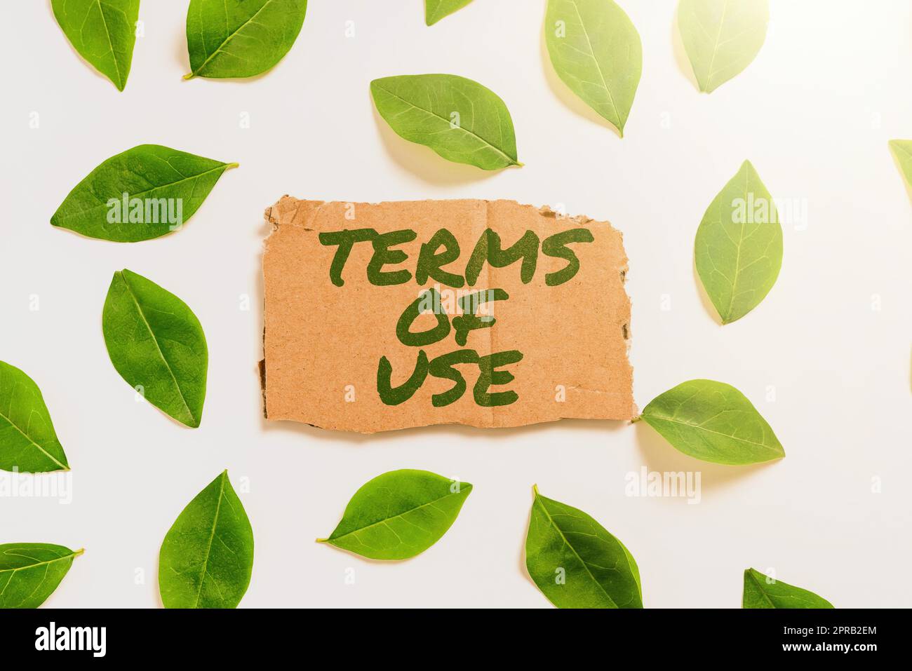 Inspiration showing sign Terms Of Use. Conceptual photo Established ...