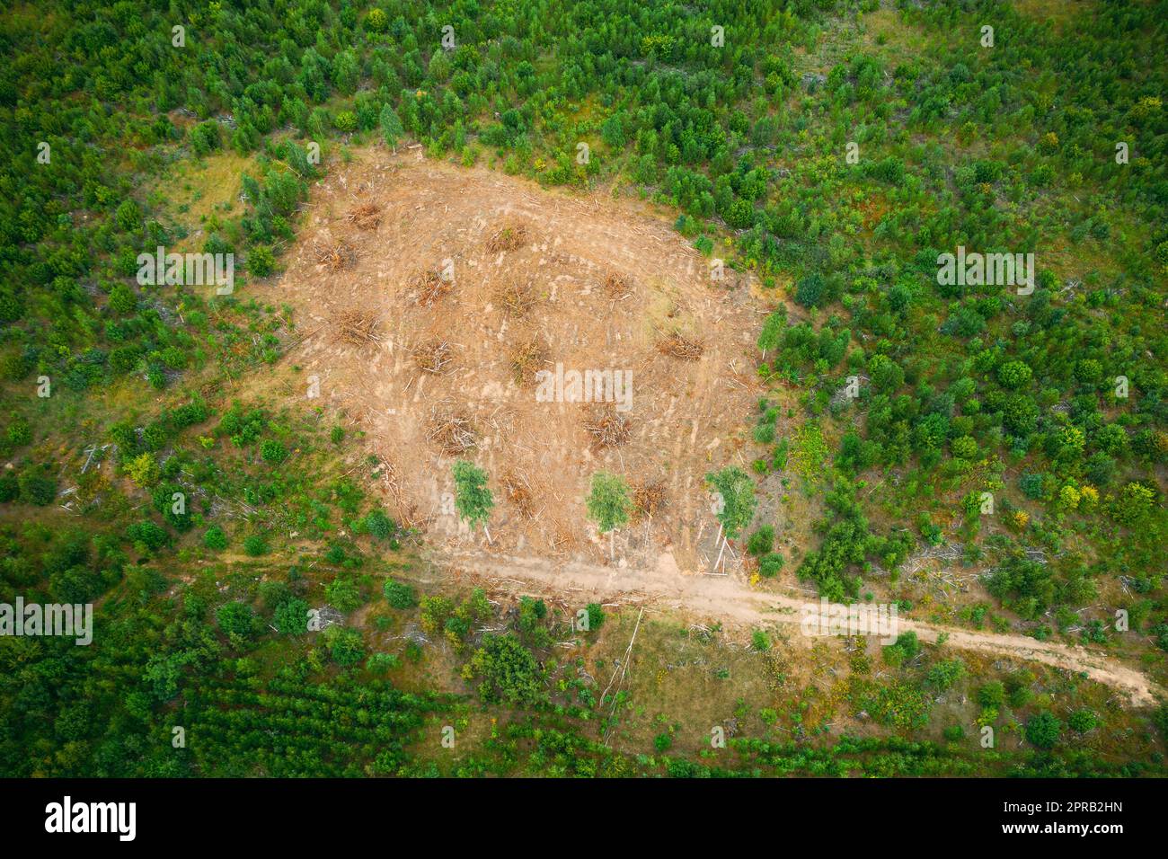 Elevated Aerial View Green Forest Deforestation Area Landscape. Top ...