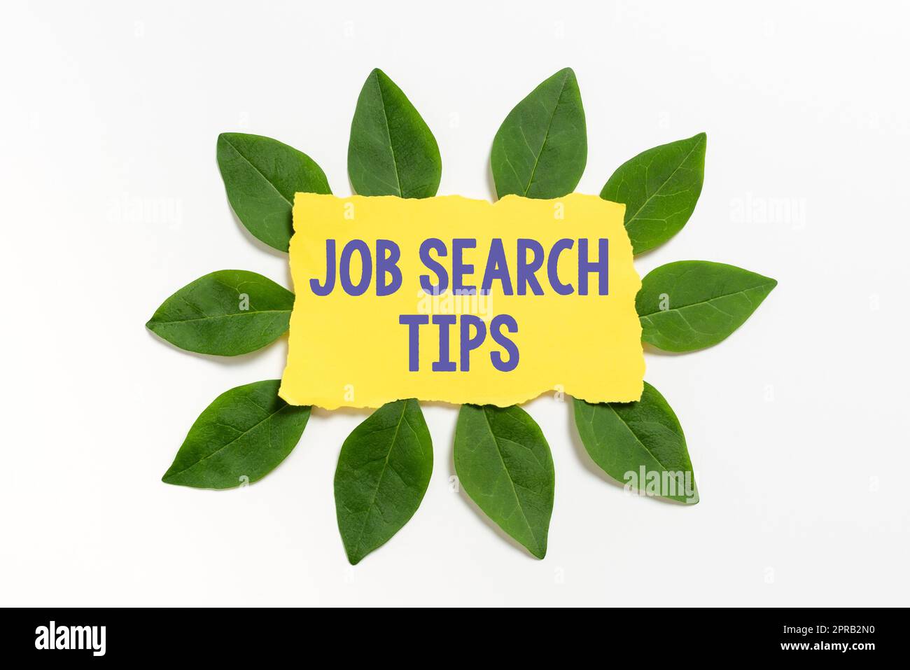 Sign displaying Job Search Tips. Business approach Recommendations to ...