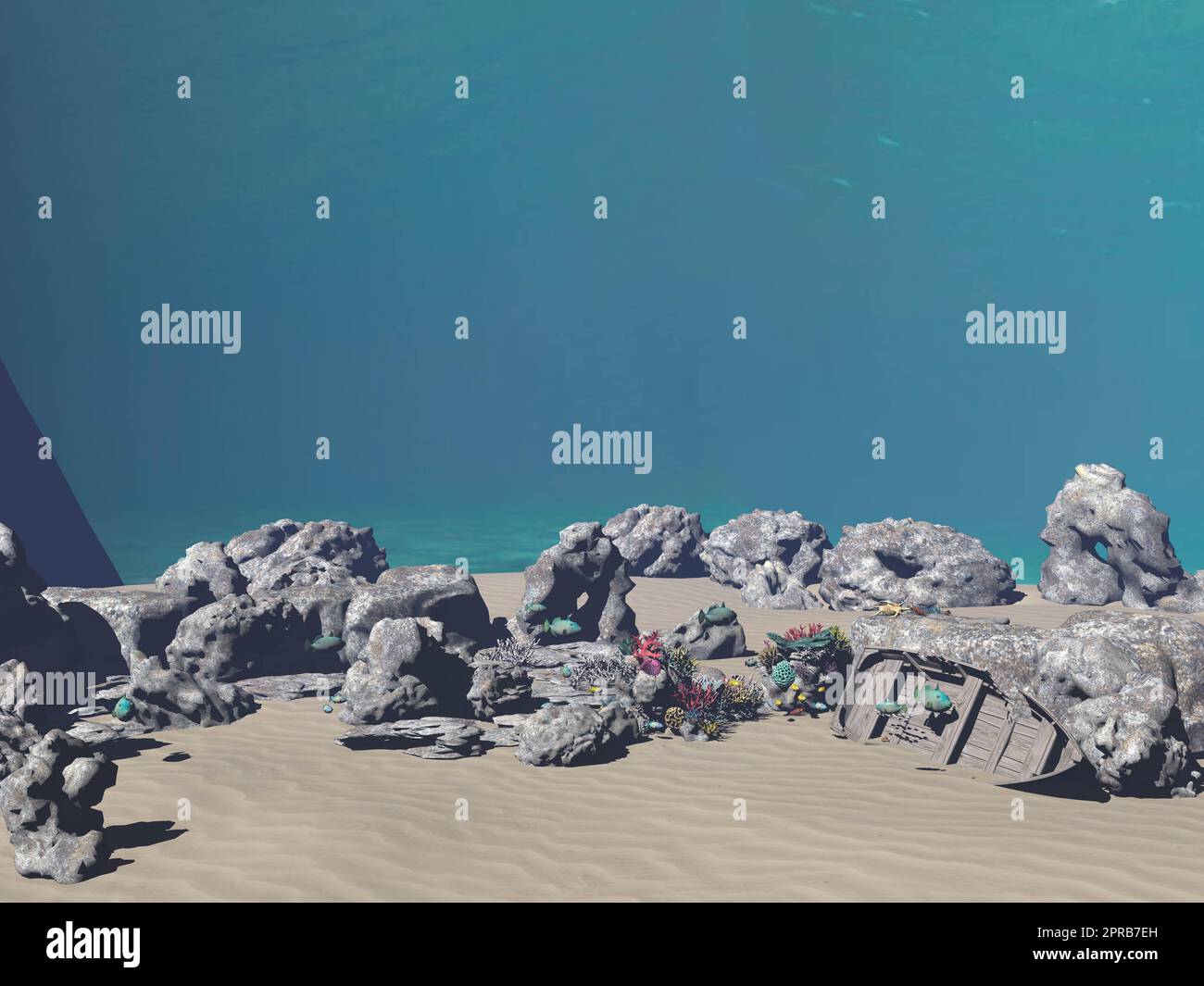 Wet seabed hi-res stock photography and images - Alamy
