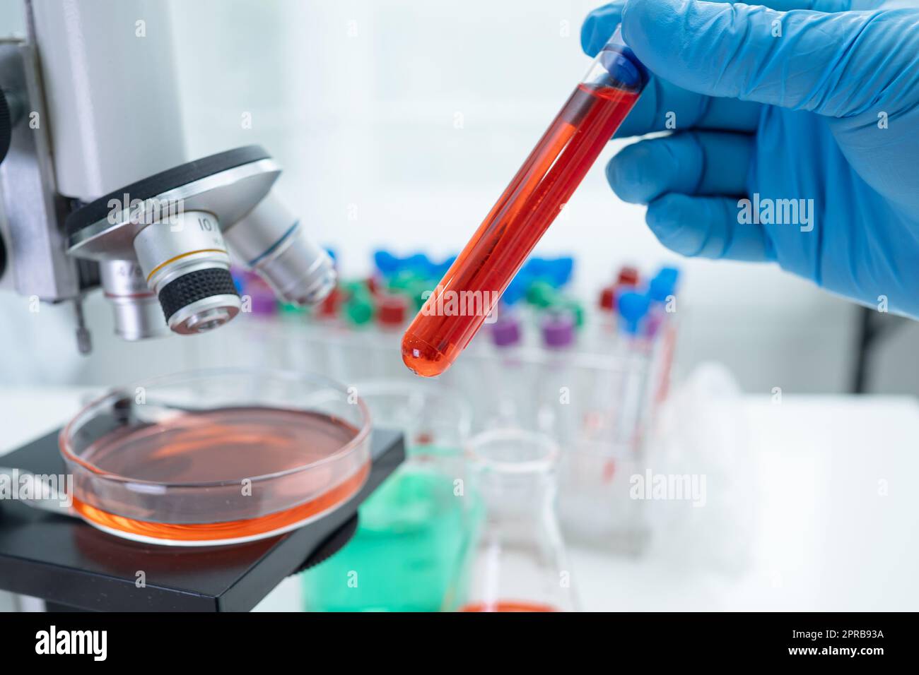 Asian scientist biochemist or microbiologist working research with a ...