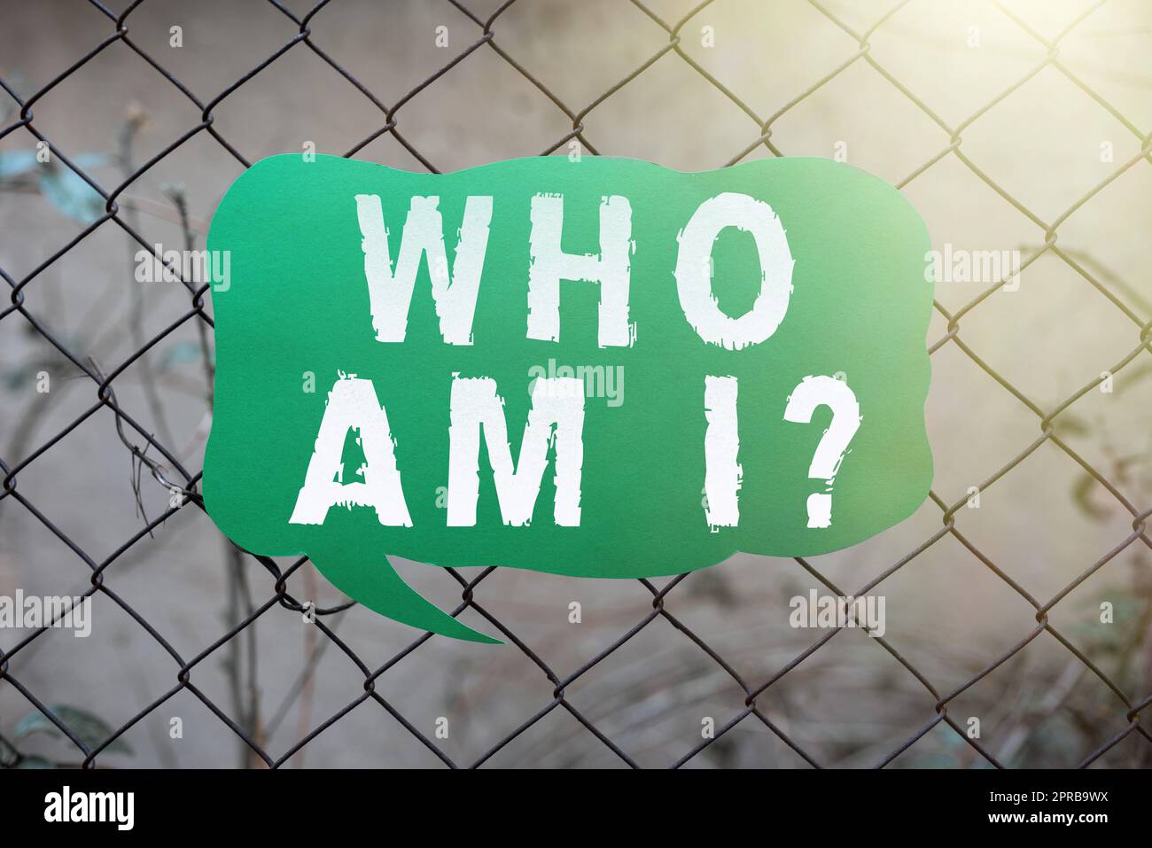 Text showing inspiration Who Am I. Word Written on Introduce Identify yourself personality likes ...