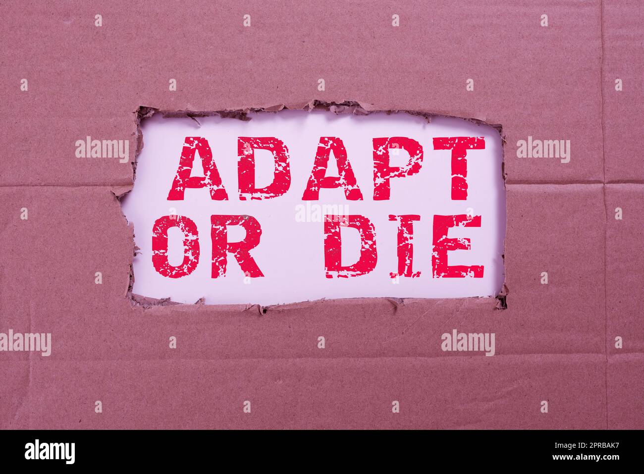 Handwriting text Adapt Or Die. Conceptual photo Be flexible to changes ... Handwriting text Adapt Or Die. Conceptual photo Be flexible to changes ...