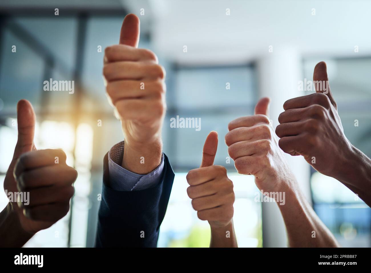 Thumbs up, support and hand sign shown by professional corporate business people in an office ...