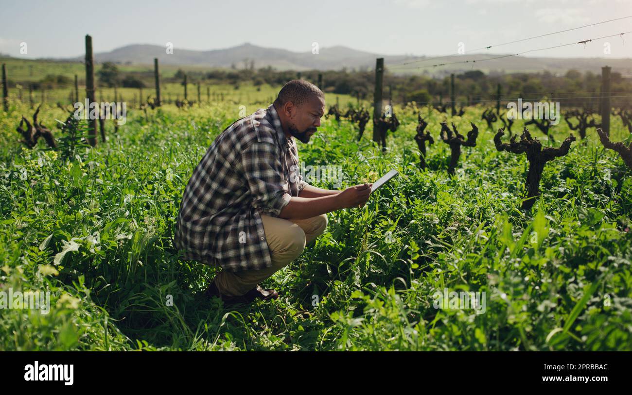 Grass management tool hi-res stock photography and images - Alamy
