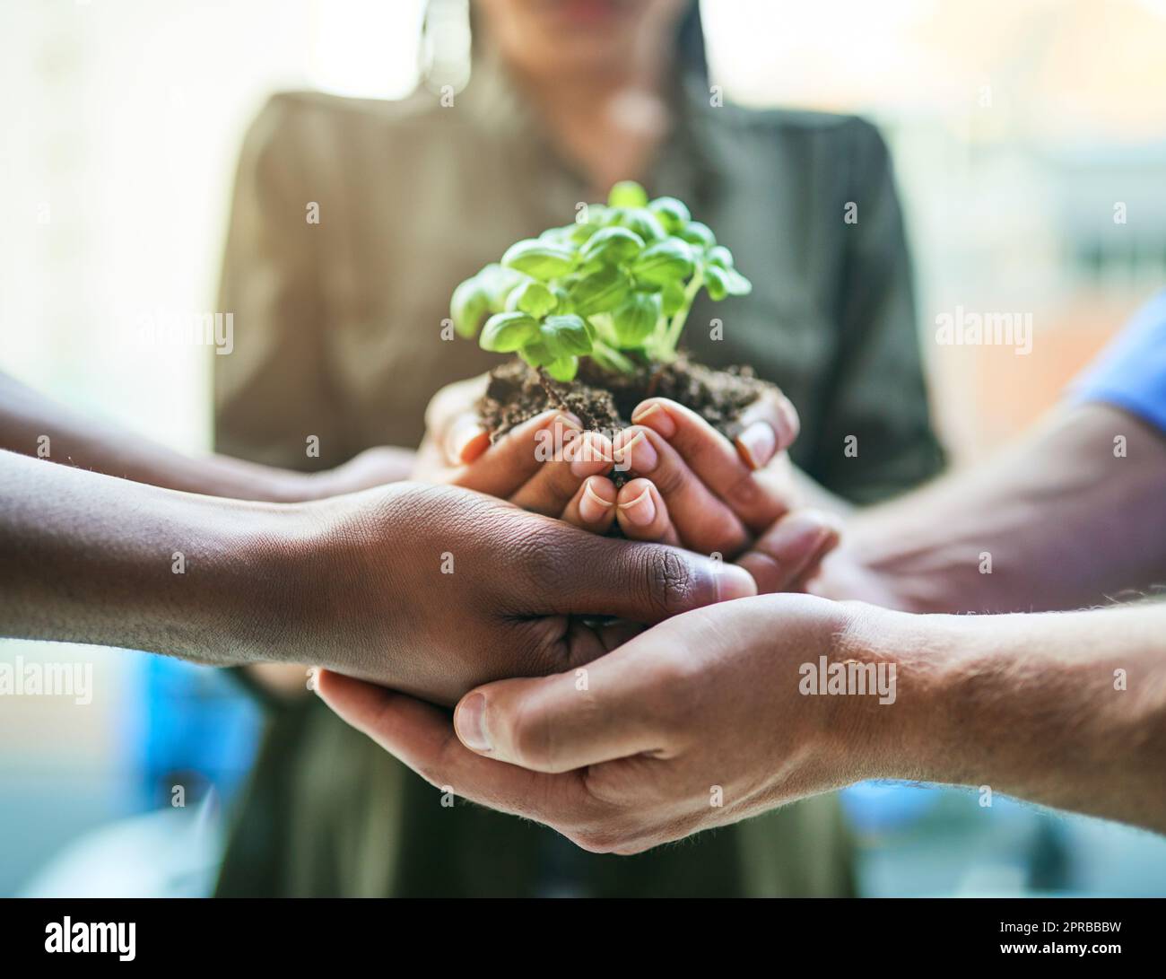 Growth, teamwork and plant in hands of eco group of people for ...