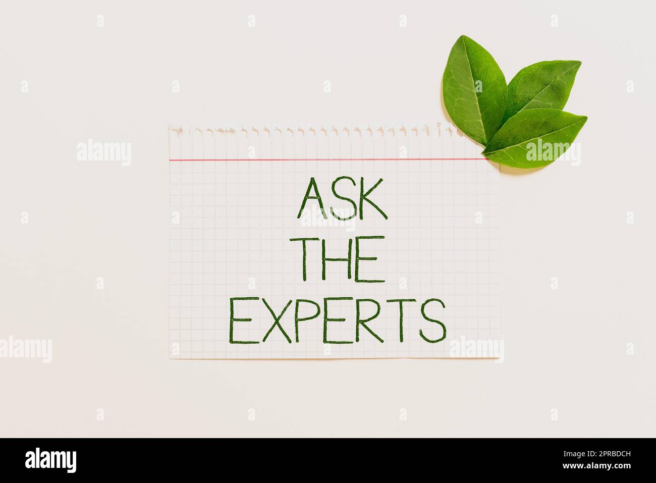 Text caption presenting Ask The Experts. Business showcase Look for a ...