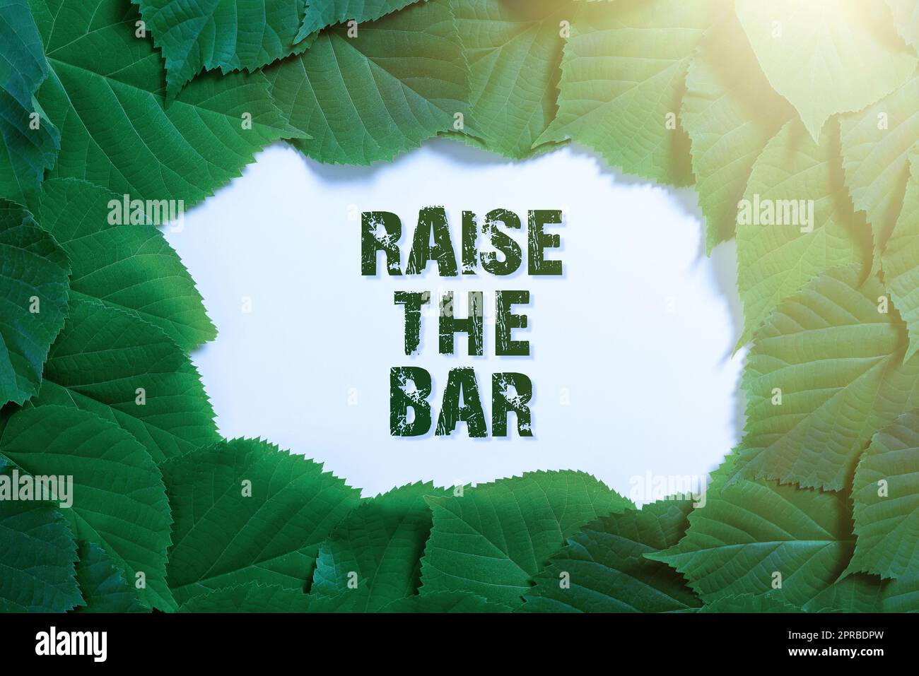 Writing displaying text Raise The Bar. Business idea Set higher ...