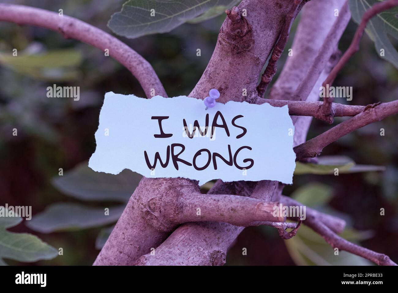 Writing displaying text I Was Wrong. Concept meaning Acceptance of a ...