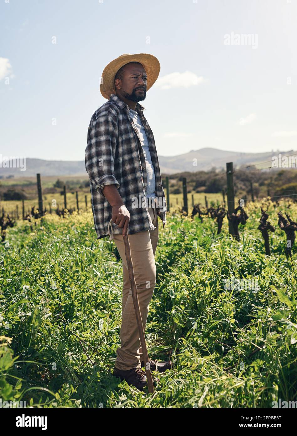 Farmers walk hi-res stock photography and images - Alamy