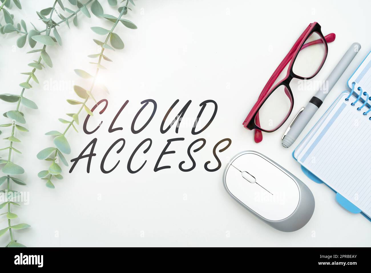 Text caption presenting Cloud Access. Internet Concept Software tool ...