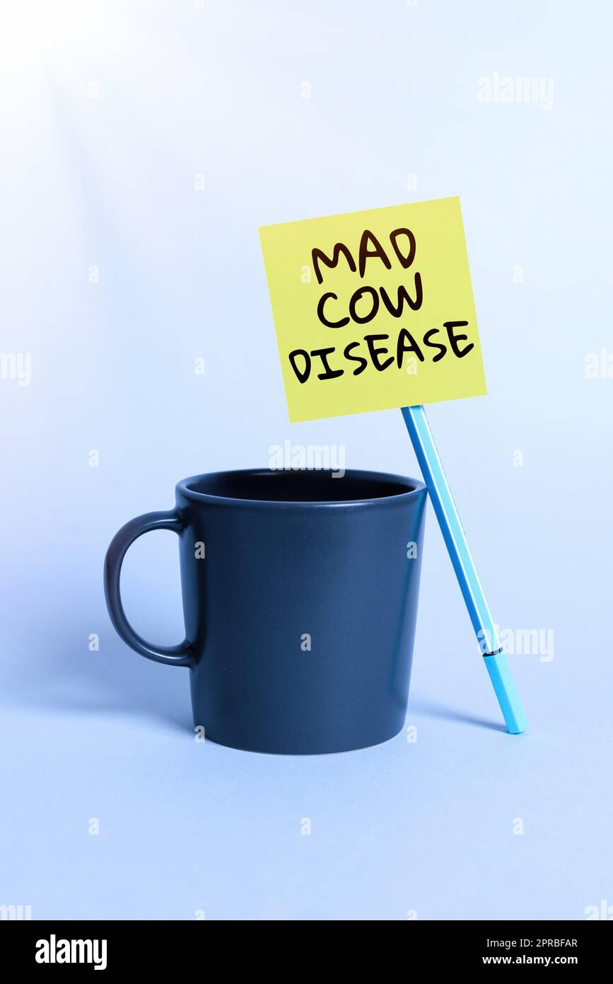 Writing displaying text Mad Cow Disease. Business overview ...