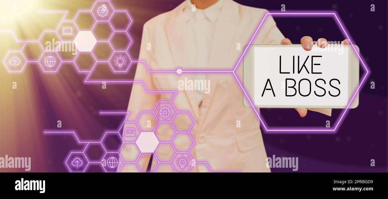 Inspiration showing sign Like A Boss. Business showcase Acting as if ...