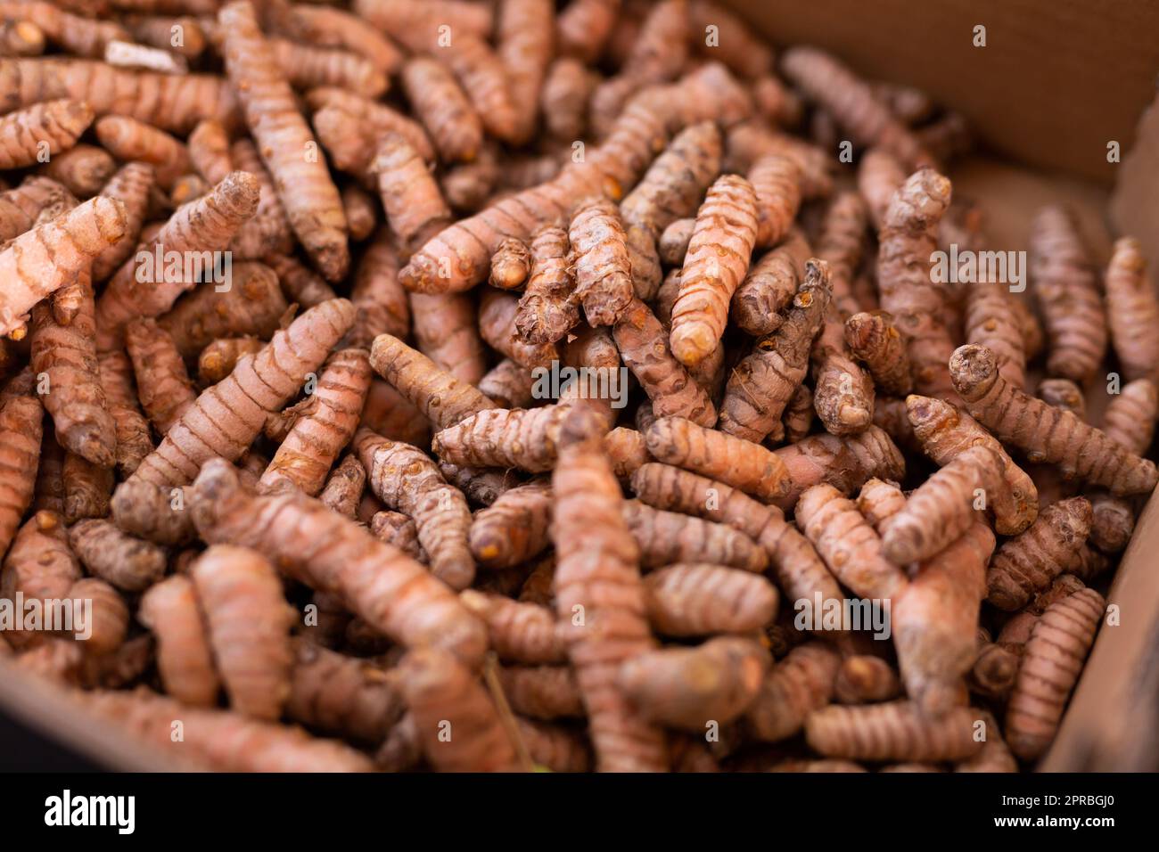 Closeup of dried turmeric rhizomes as natural food background Stock ...