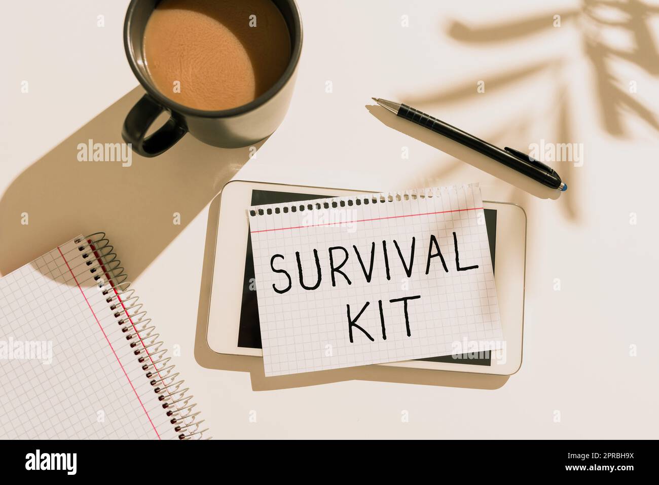 Text caption presenting Survival Kit. Business approach Emergency ...