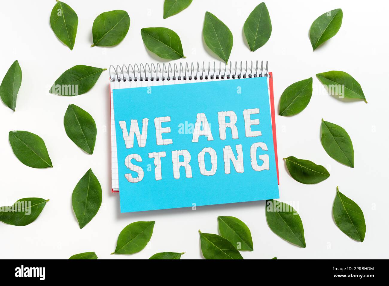 Strong leaves hi-res stock photography and images - Alamy