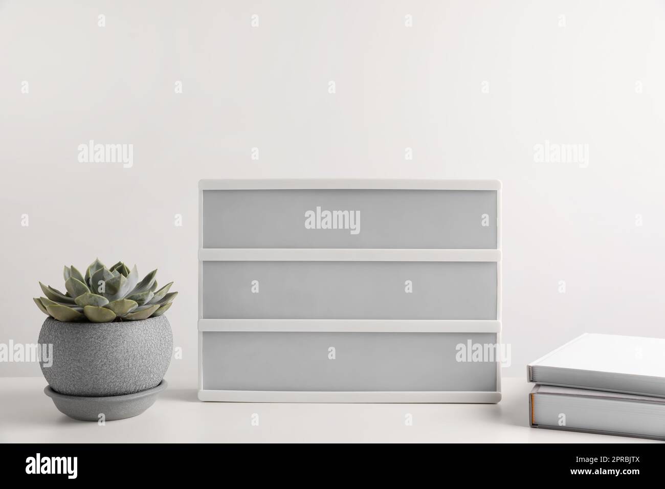 Blank letter board, books and beautiful houseplant on white table ...