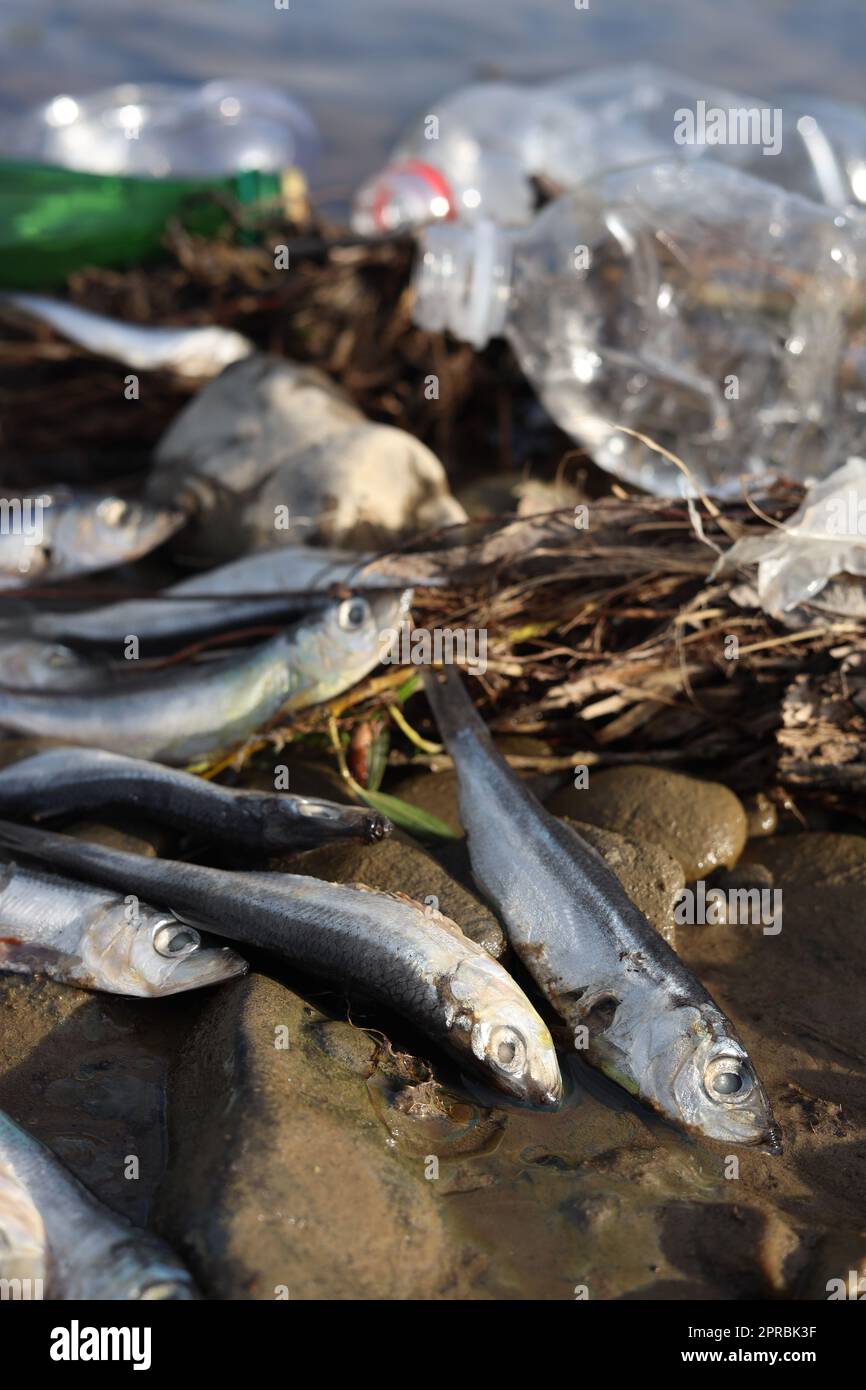 Plastic pollution contaminate river water hi-res stock photography and ...