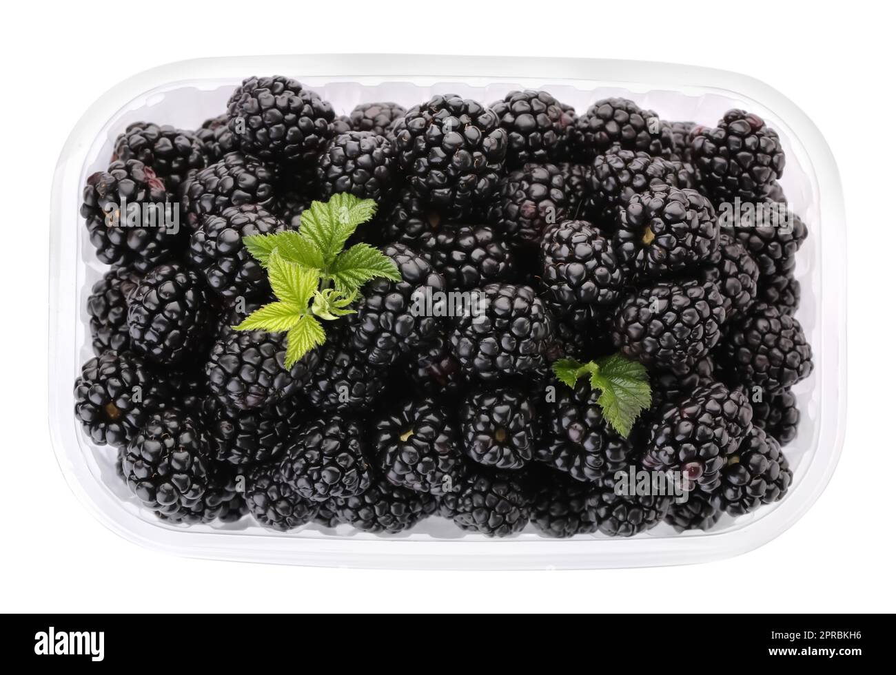 Tasty ripe blackberries in plastic container isolated on white, top ...