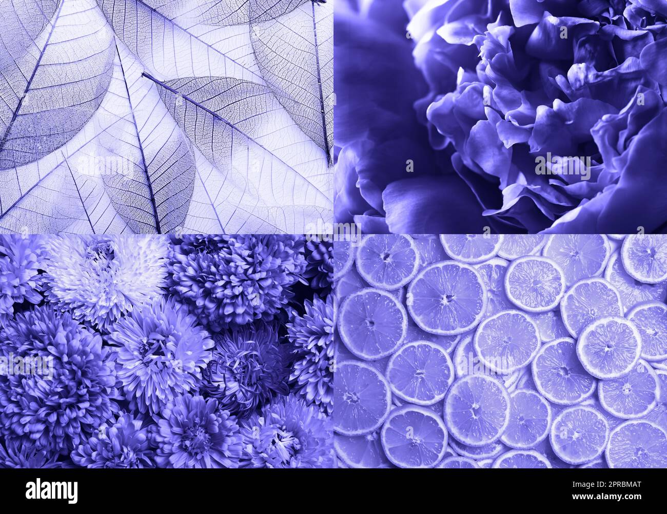 Collage with different photos inspired by color of the year 2022 (Veri ...