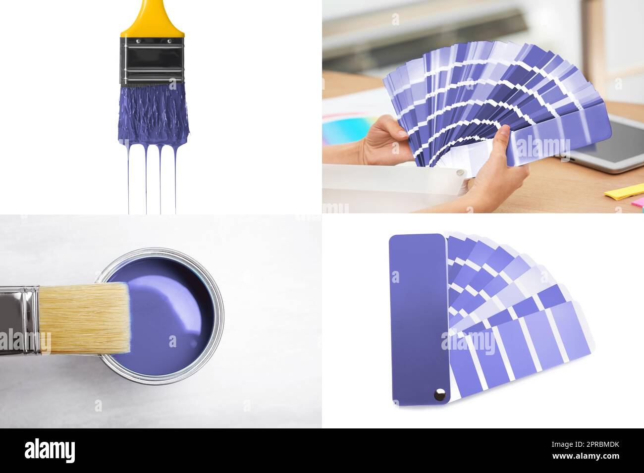 Collage with different photos of violet paints and color palettes Stock ...