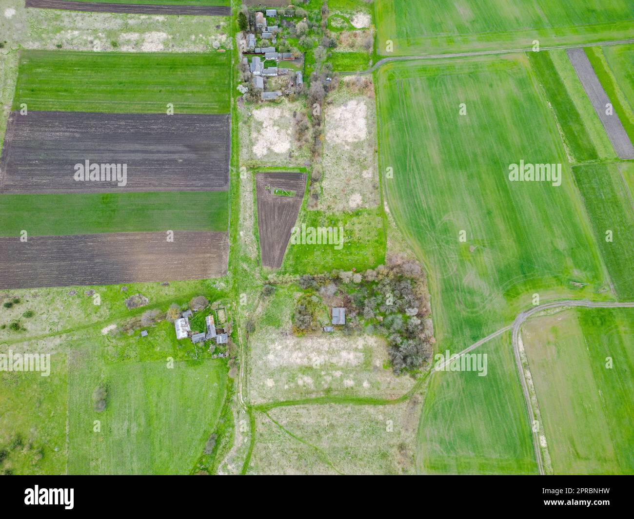 Drone footage captures a vibrant green field bordered by a dense ...